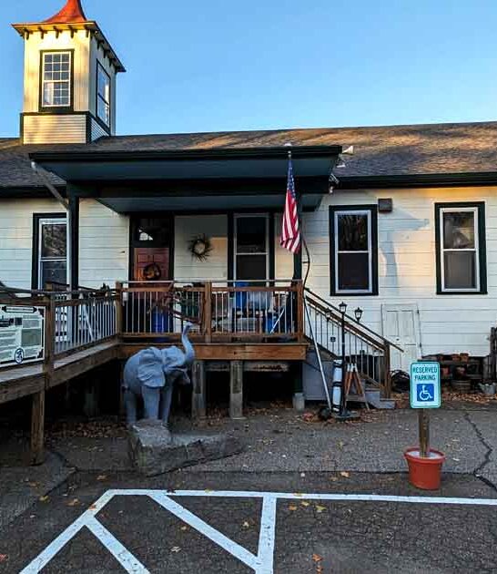 thrift store connecticut massive ftr