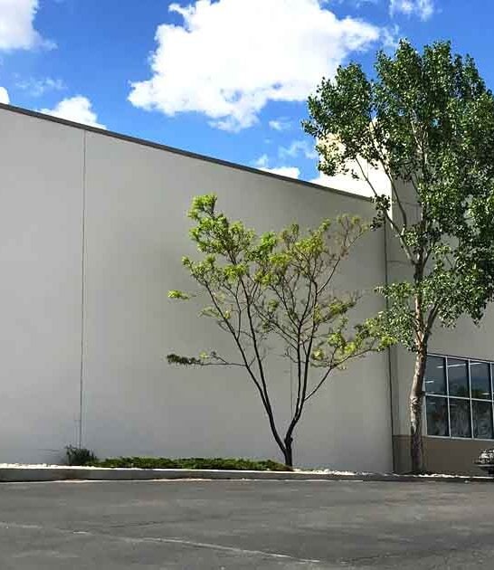 thrift store wyoming wardrobe ftr