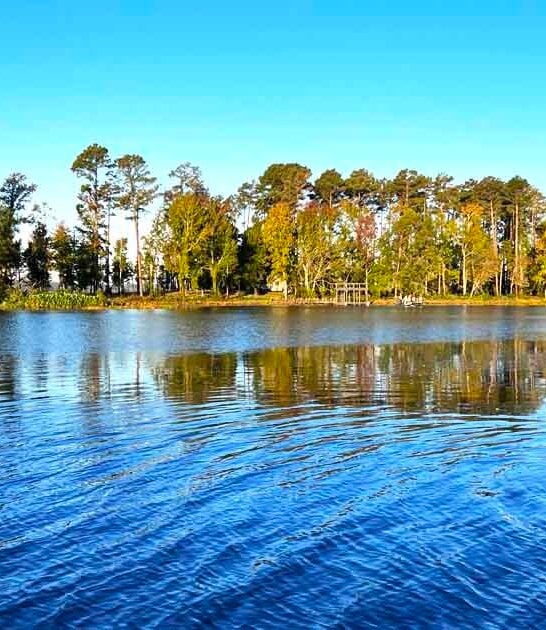 too beautiful louisiana park ftr
