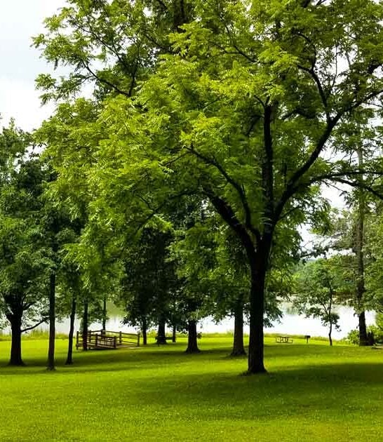 tranquil state park missouri ftr