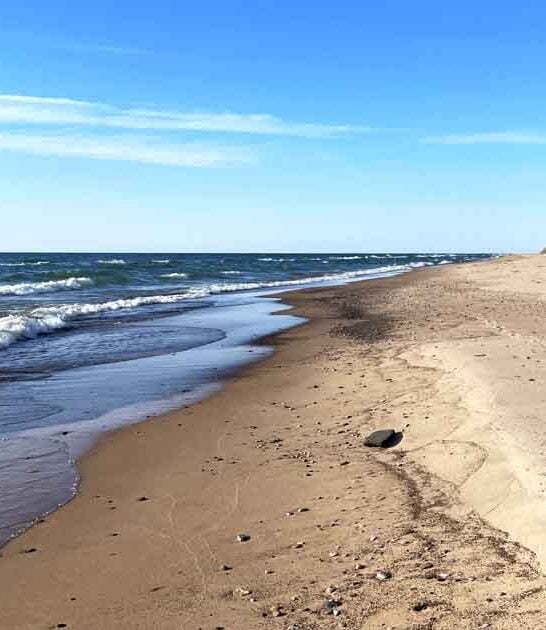 trips state park michigan ftr