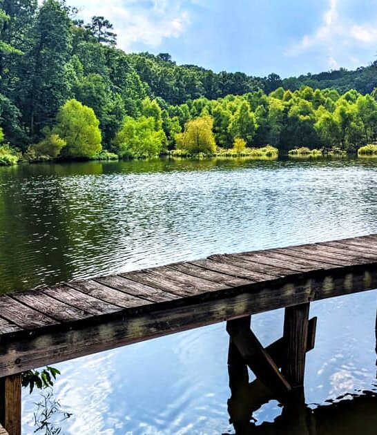 unreal beauty park mississippi ftr