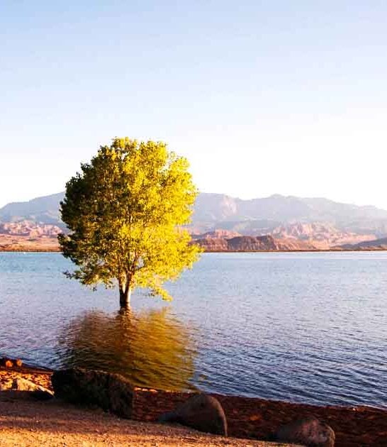 utah gorgeous park adventure ftr