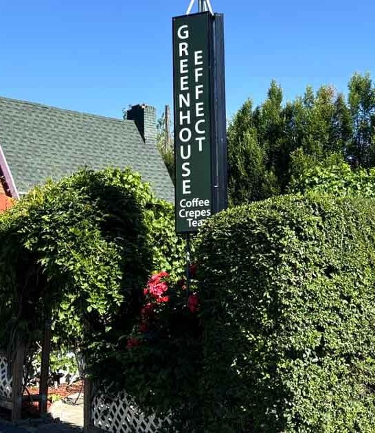 utah shop coffee funky ftr