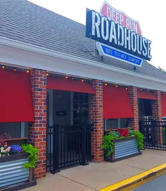 virginia waffle fries spot ftr