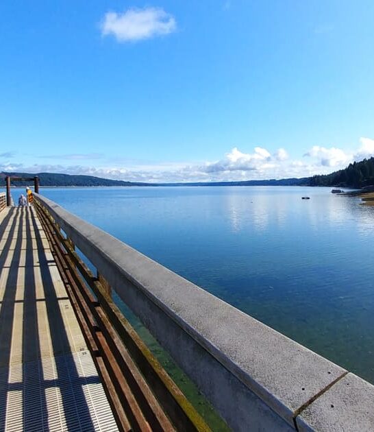 washington laid back trips ftr