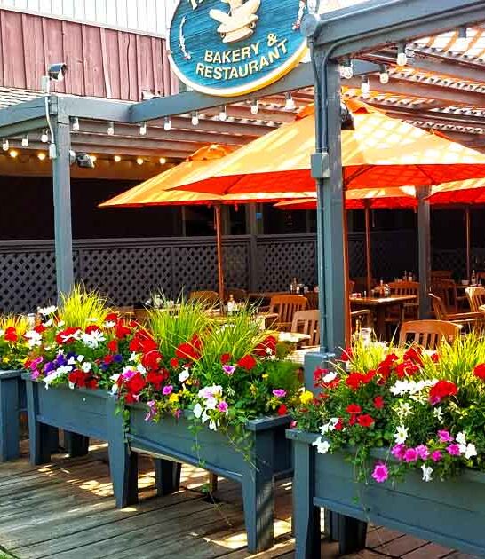 wyoming top croissant eats ftr