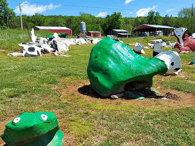 A geological petting zoo where the animals never need feeding and the admission is always free.
