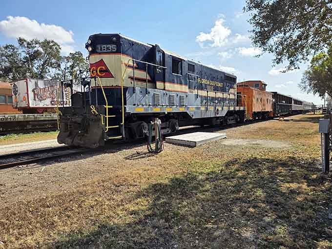 That's locomotive number 1835 looking like it just stepped out of a time machine and into your weekend plans.