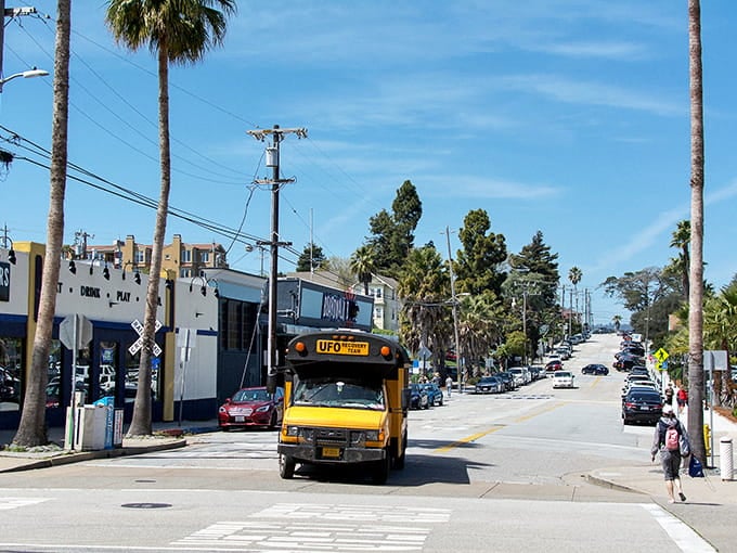 Palm trees and a school bus painted like a UFO? Welcome to Santa Cruz, where normal took a permanent vacation.