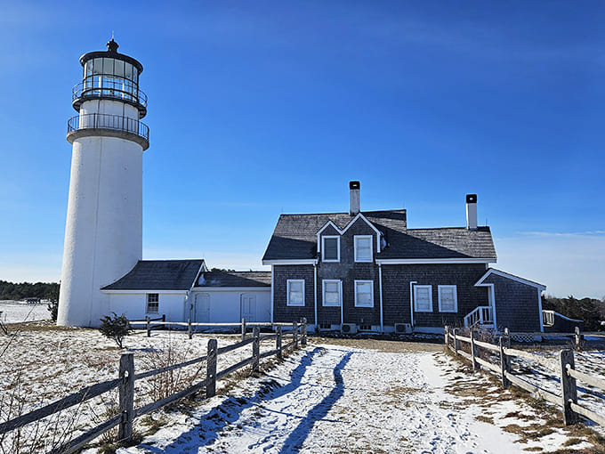 Winter at Highland Light proves that dramatic coastal views don't take a seasonal vacation from being spectacular.