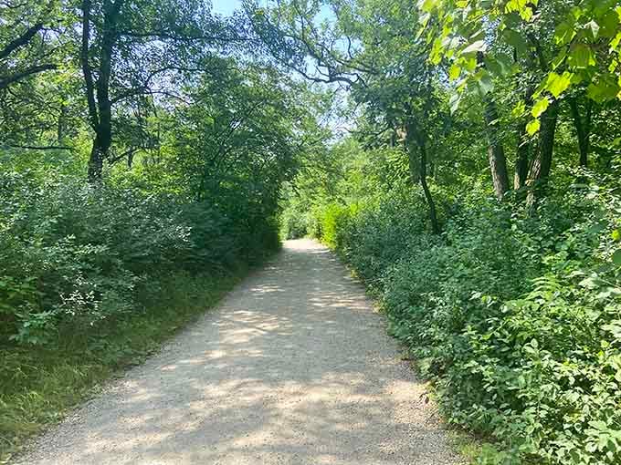 The tree-lined Lower Glen Trail welcomes you into a peaceful green tunnel that feels worlds away from the bustling city streets above.