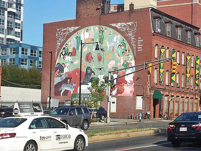 That colorful mural isn't just street art, it's your beacon to treasure hunting paradise in Cambridge.