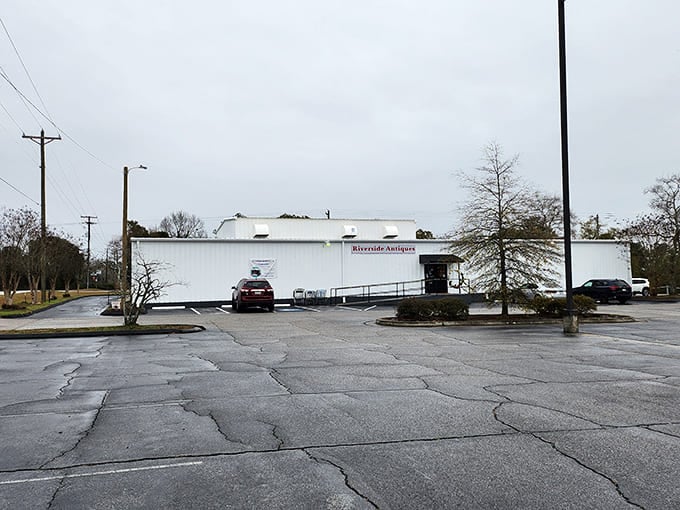 That unassuming white building holds more treasures than a pirate's chest, just with better parking.