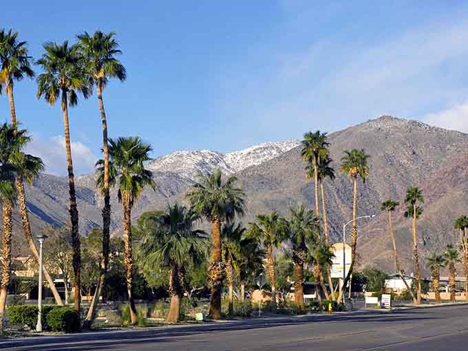 Those palm trees standing tall against snow-dusted mountains prove the desert has a flair for the dramatic.