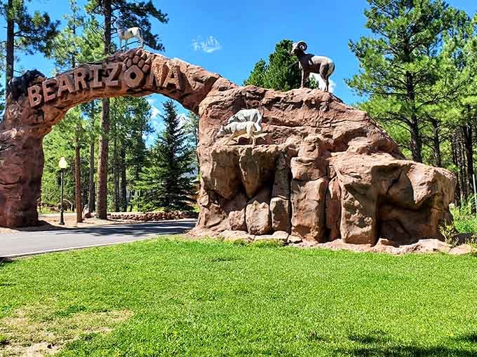 That entrance arch isn't just welcoming you to Bearizona, it's practically giving you a bear hug before you even start.