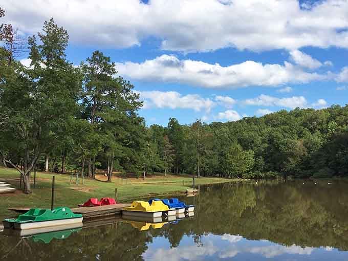 Those colorful paddle boats lined up like a rainbow waiting to happen prove that fun doesn't require a yacht.