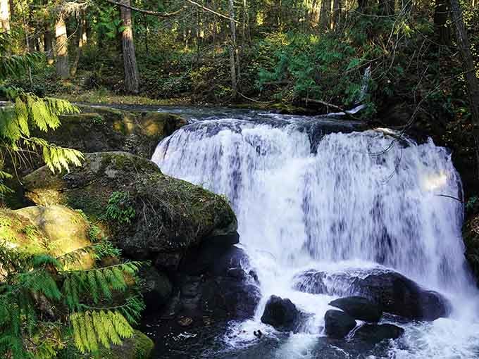 When water decides to put on a show, this is what happens&mdash;pure Pacific Northwest drama in motion.