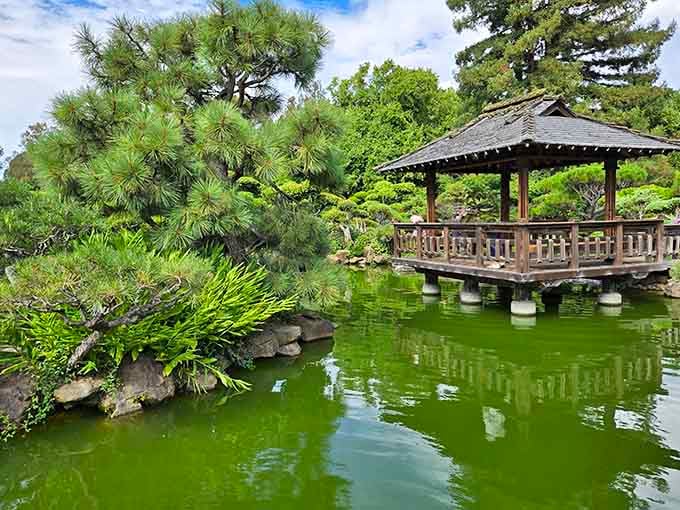 The pavilion perched over jade-green water creates reflections so perfect you'll question which way is up.