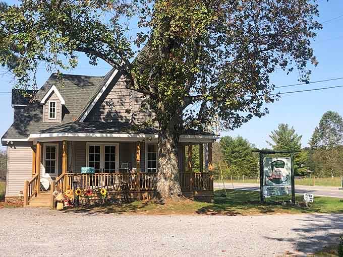 This charming cottage with a welcoming porch is your gateway to a whimsical cafe nestled in the mountains.