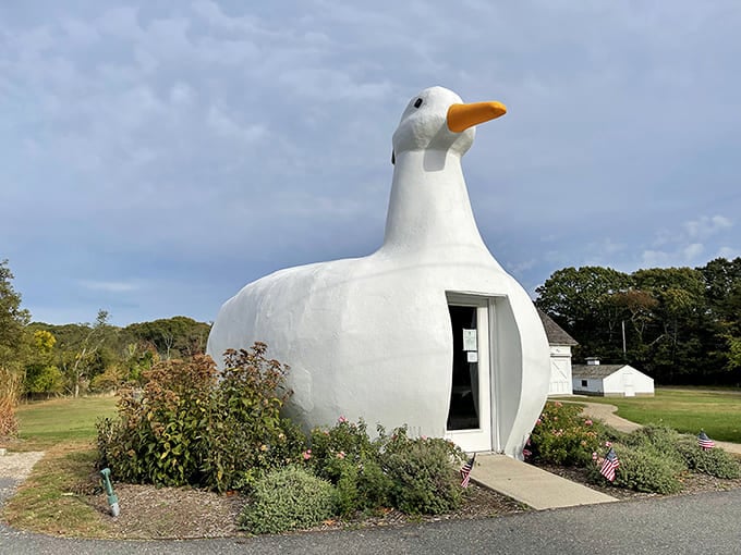Notice how the landscaping frames this architectural marvel like it's posing for its best angle, because it absolutely is.