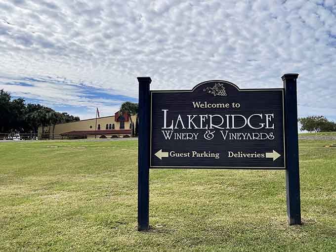 That welcome sign isn't just inviting you to a winery, it's inviting you to question everything you thought you knew about Florida.