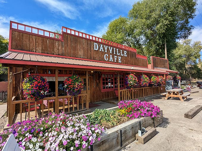 That red trim against weathered wood isn't just decoration – it's a beacon calling hungry travelers home.