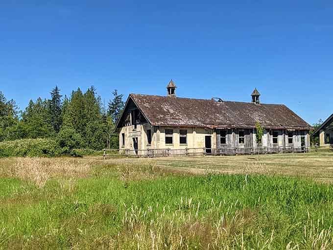 These weathered farm buildings stand as silent sentinels to a forgotten chapter of Washington agricultural history.