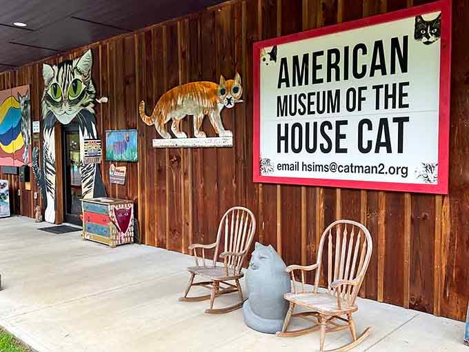 That colorful exterior isn't just decoration &ndash; it's a warning that you're about to enter cat paradise.