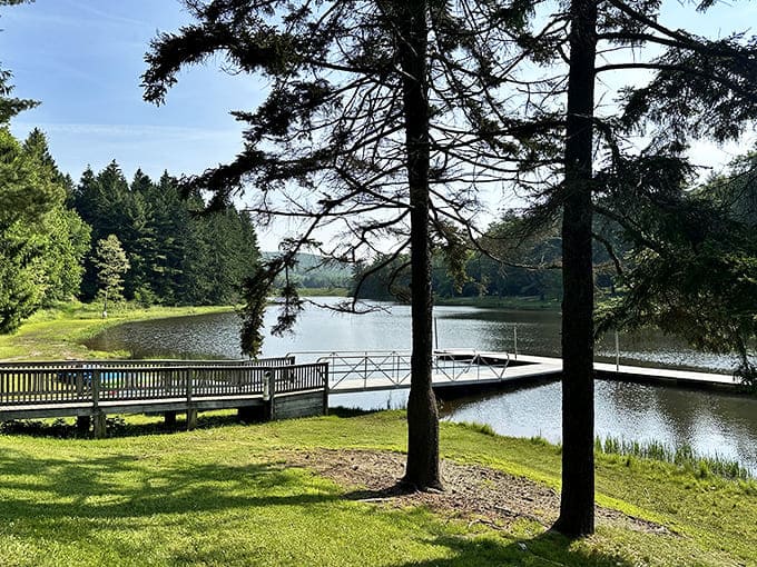 That mirror-perfect reflection isn't a photography trick, it's just New Germany showing off on a calm day.