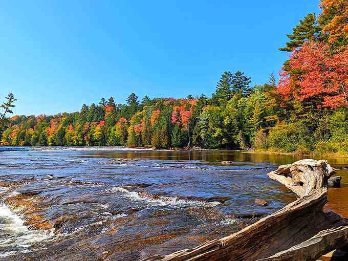 Autumn paints the riverbank in colors that would make Bob Ross reach for extra brushes.