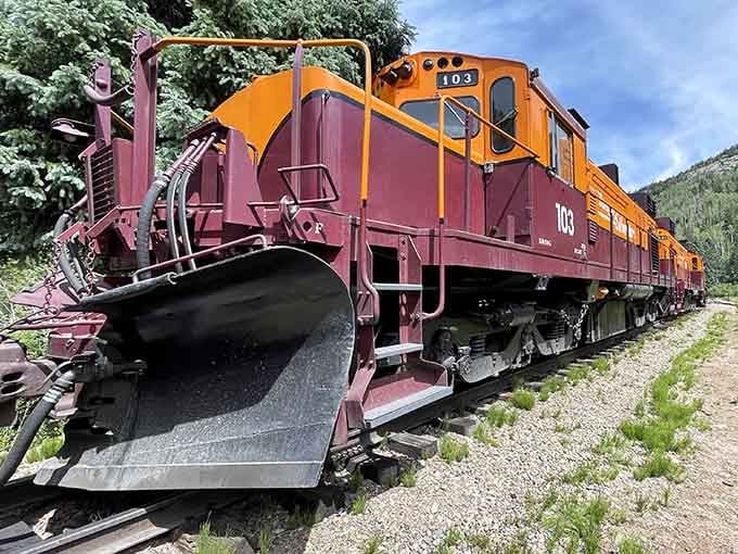 The vibrant colors on this beauty prove that even working trains can have a sense of style that puts modern transportation to shame.