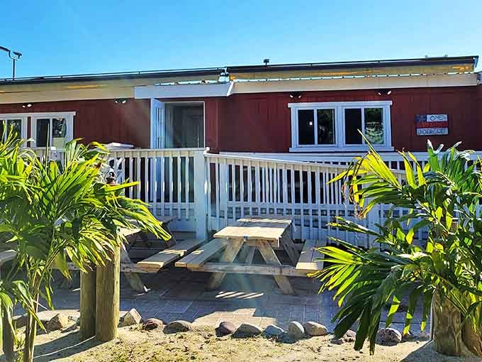 Mickey's rustic exterior welcomes seafood lovers with a cozy picnic table nestled among tropical palms&mdash;beach vibes at their best!