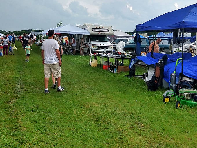 The sprawling landscape of Wolf's Giant Animal Swap Meet transforms ordinary Indiana farmland into a treasure hunter's paradise every weekend.