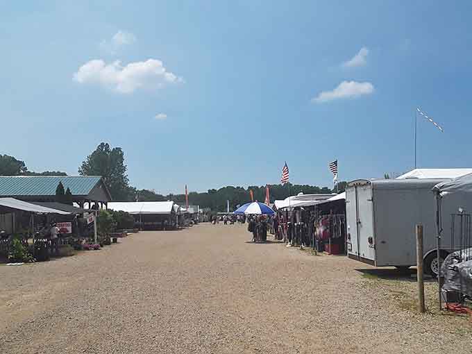 Wide open aisles stretch toward the horizon like a bargain hunter's yellow brick road to treasure.