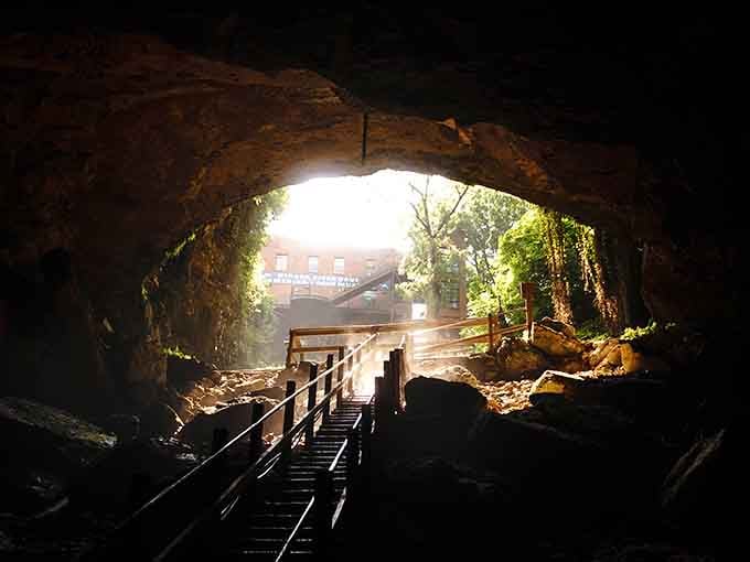 Looking from inside the cave toward downtown Horse Cave feels like discovering a secret portal to the surface world.
