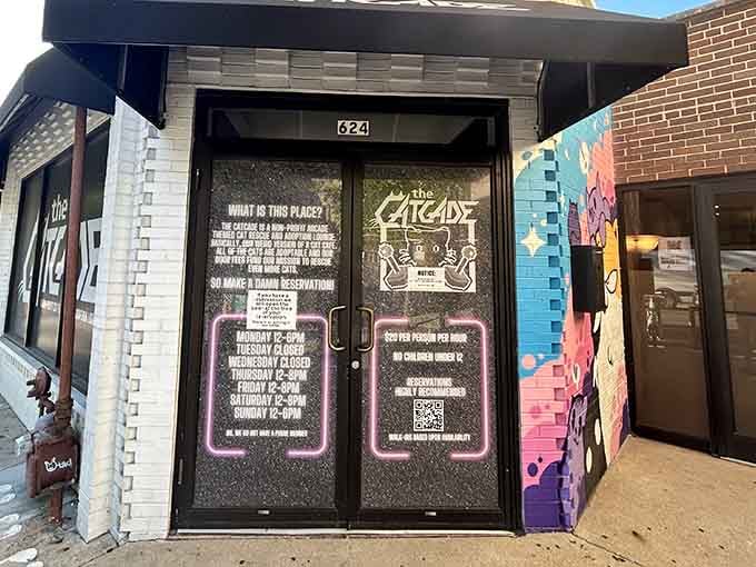 Step through these doors and leave your cat-less worries behind for a blissful hour or two.