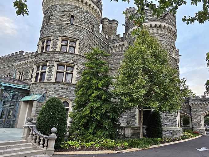 Those cylindrical towers aren't just architectural eye candy—they're your childhood fairy tale dreams made gloriously, touchably real.