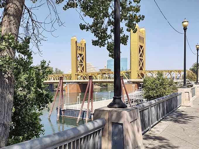 That golden Tower Bridge isn't just pretty, it's Sacramento's most photogenic landmark framing your riverside stroll perfectly.