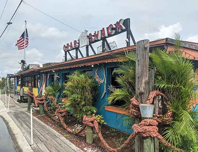 The whole operation runs on fresh catches and good vibes, exactly what a proper seafood shack should deliver.