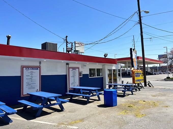 Blue picnic tables waiting patiently in the sunshine&mdash;where summer memories are made and diet plans go to die, gloriously.