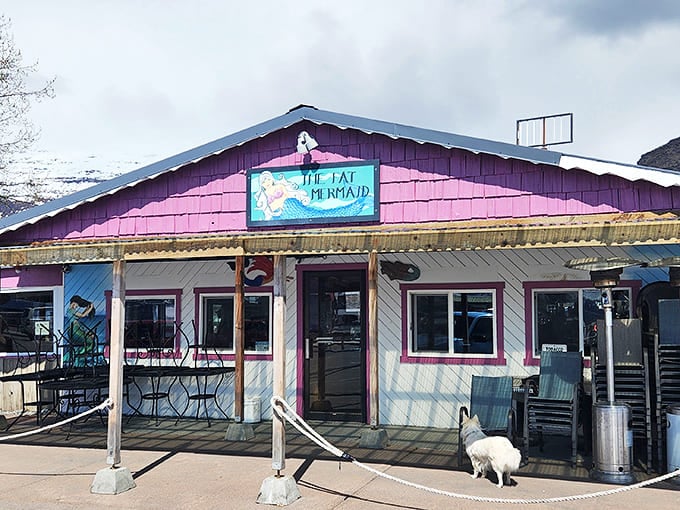 Even local pups know where the good stuff is&mdash;this little white dog is clearly a regular at The Fat Mermaid's outdoor seating area.