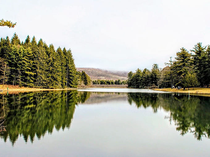 When the lake looks this serene, you'll understand why fish aren't biting, they're too busy enjoying the view.