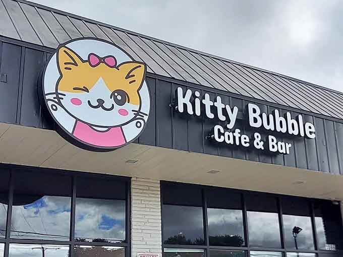 That cheerful cartoon cat isn't just adorable, it's basically a beacon calling all coffee and cat lovers home.