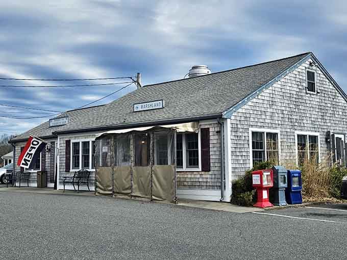 That classic Cape Cod exterior isn't trying to impress anyone, which is exactly why it impresses everyone who walks through the door.