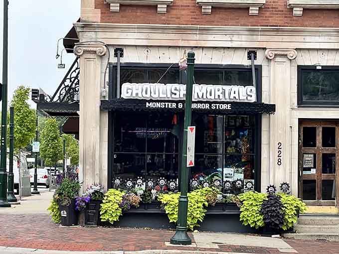 The storefront practically screams "abandon normalcy, all ye who enter here" in the best possible way.