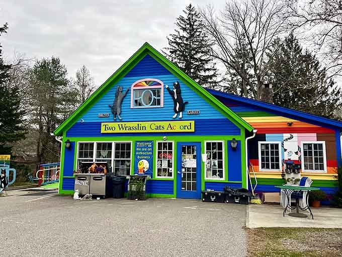 When a building looks this happy, you know the coffee's good and the cats are even better.