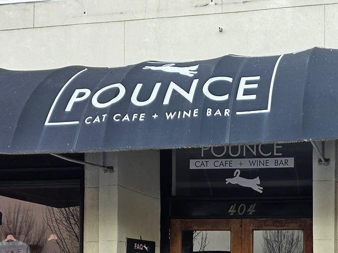 That charming storefront practically purrs "come inside," and trust me, you'll want to accept the invitation immediately.