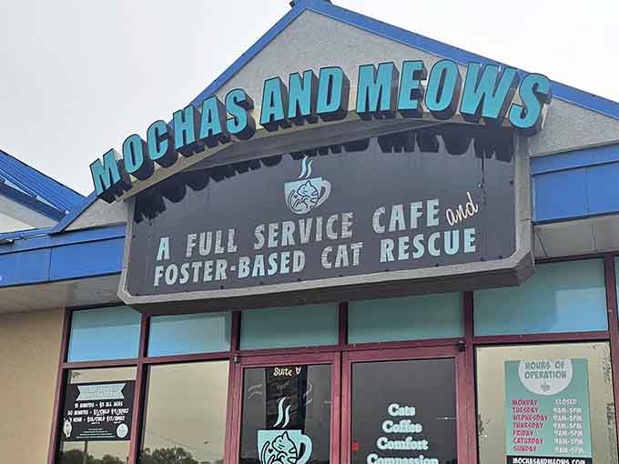 That storefront sign isn't subtle, and honestly, why should it be when you're combining humanity's two greatest loves?