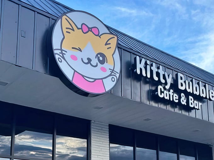 Look at that happy mascot practically winking at you, promising an afternoon of purrs, lattes, and pure contentment.